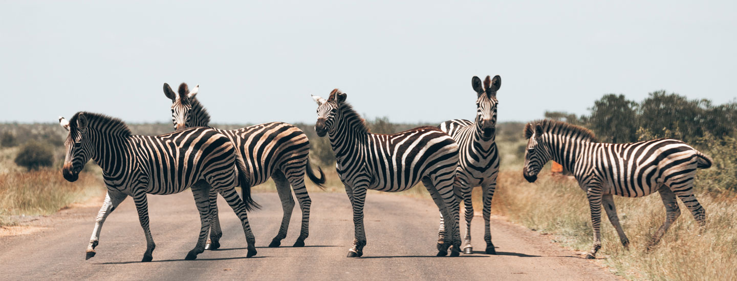 The Best Destinations for Adventure and Exploration - How Far From Home